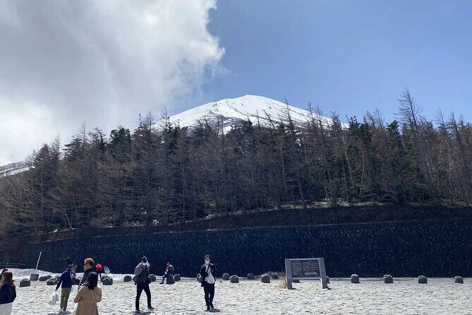 Private Mt Fuji and Hakone Day Tour from Tokyo - Why This Tour Offers Good Value