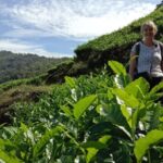 Private Munnar Tea Trek - Authenticity and Value