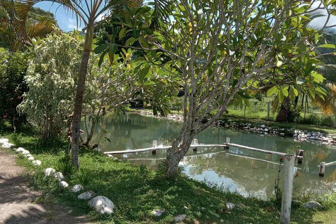 Private Nadi Temple Tour - What This Tour Means for You