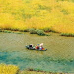 Private Ninh Binh Tour: Hoa Lu, Bai Dinh, Trang An &Mua Cave - What’s Included & What to Consider