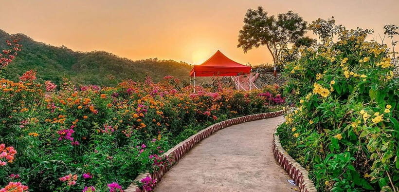 Private Old and New Delhi Private Full or Half-Day Tour - Who Would Love This Experience
