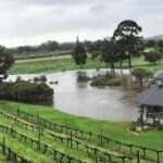 Private One Day Perth Tour - Transportation, Guides, and Overall Experience