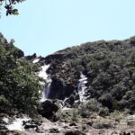 Private One Day Tour through The Deep South - Transportation and Practicalities