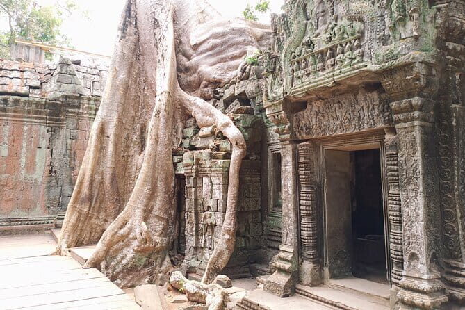 Private One Day Trip with Sunrise at Angkor Wat, Angkor Thom and Tomb Raider - The Itinerary: A Closer Look