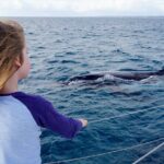 Private Overnight Skippered Humpback Whale Watch Experience - Who Should Consider This Experience?