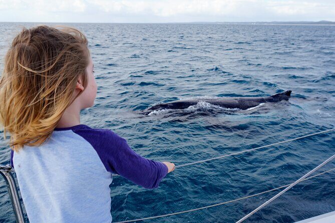 Private Overnight Skippered Humpback Whale Watch Experience - Who Should Consider This Experience?