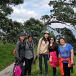 Private Personalised Tour in Waiheke Island - A Detailed Look at the Itinerary