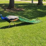 Private Phillip Island Day Tour - Who Will Love This Tour?
