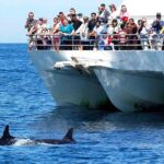 Private Port Stephens Day Trip from Sydney incl Dolphin Cruise - Introduction to the Tour