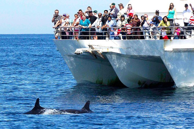Private Port Stephens Day Trip from Sydney incl Dolphin Cruise - Introduction to the Tour