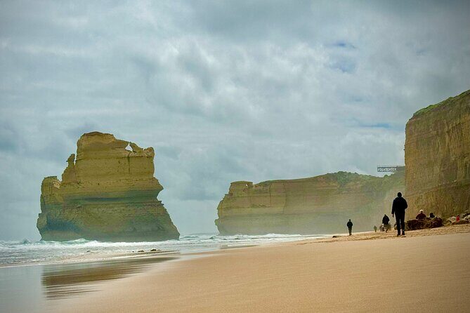 Private Premium Great Ocean Road with Lunch & Wildlife spotting - The Itinerary in Detail