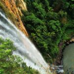 Private Rainforest & Wildlife Tour - Build Your Own Experience - Who Should Consider This Tour?