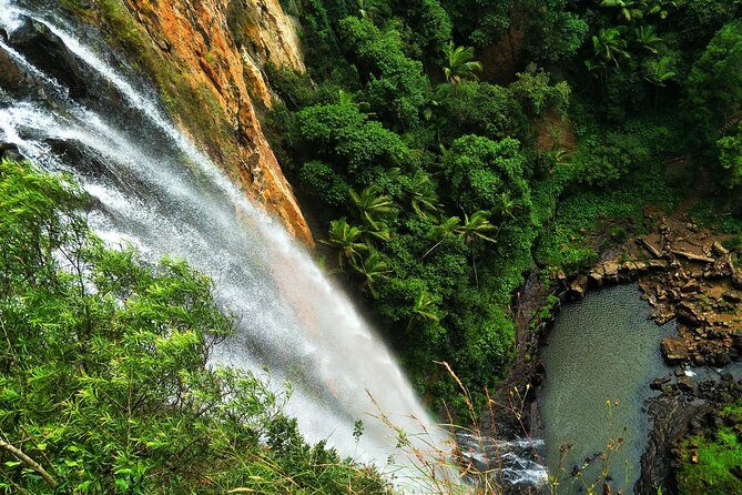 Private Rainforest & Wildlife Tour - Build Your Own Experience - Who Should Consider This Tour?