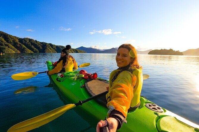 Private Shore Excursion: Explore Marlborough from Picton - An In-Depth Look at the Marlborough Private Tour