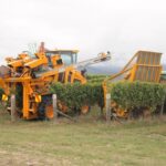 Private Shore Excursion from Picton: Marlborough Highlights - Why This Tour Is Worth It