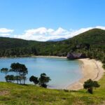 Private Sightseeing Tours - Real Experience: What Past Travelers Say