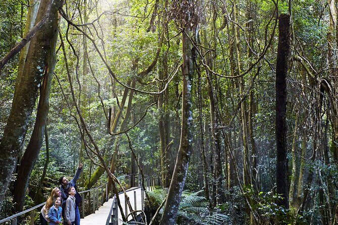 Private Small Group Tour in Blue Mountains - An In-Depth Look at the Blue Mountains Tour