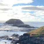 Private Small Group Tour of 2-7pax in Great Ocean Road Melbourne - Detailed Breakdown of the Itinerary