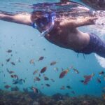 Private Snorkeling Tour In Sydney's Marine Reserve - Who Will Love This Experience?