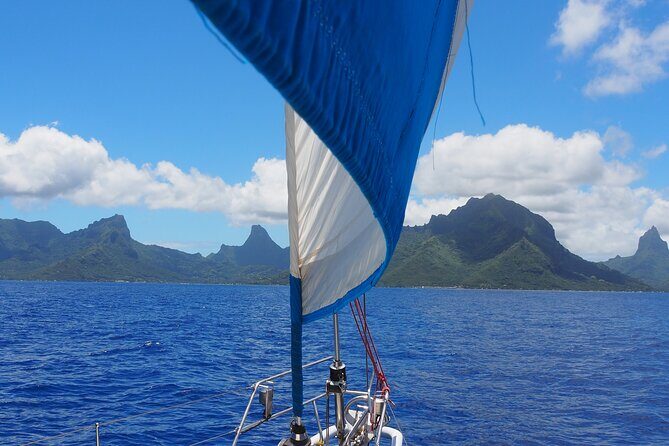 Private Sunset Sailing Excursion Sail yourself Mori Ora - Who Will Love This Tour?