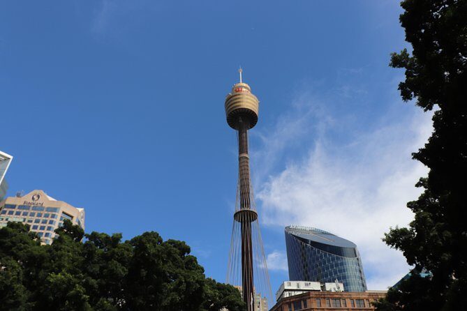 Private Sydney City Customized Tour - Who Should Consider This Tour?