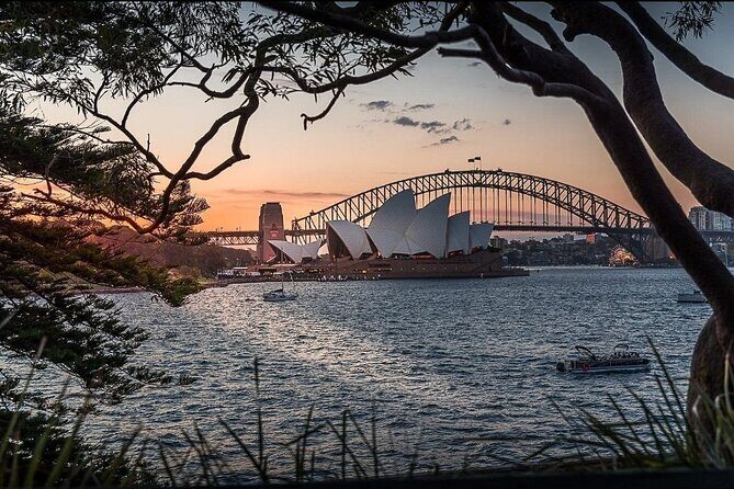 Private Sydney City Hidden Gem Half Day Tour - What’s the Real Value?
