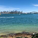 Private Sydney Discovery Tour - Transportation & Timing: Comfort Meets Efficiency