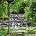 Private : Tahiti Museum & Circle Island Tour, Afternoon Tour (5h) - Who Will Love This Tour?