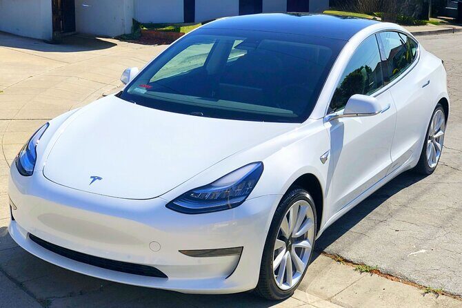 Private Tesla Transfer: Auckland, Tauranga, Rotorua, Taupo - Who Will Love This Experience?