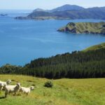 Private The Coromandel Tour - Auckland Tour House - Exploring the Coromandel Peninsula