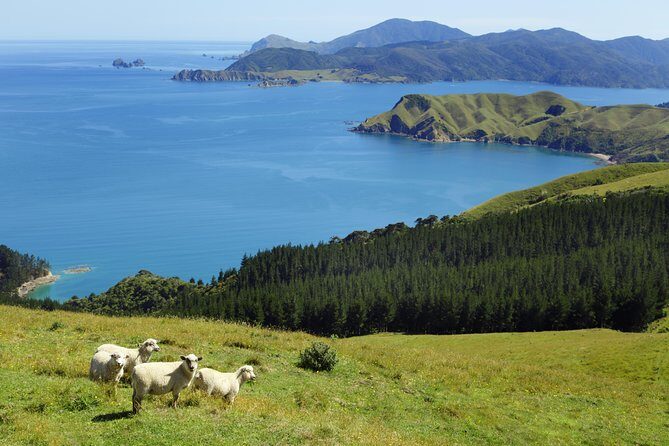Private The Coromandel Tour - Auckland Tour House - Exploring the Coromandel Peninsula