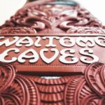 Private Tour [2 Days]: Auckland to Waitomo Caves, Rotorua, Te Puia & Wai-O-Tapu - Transportation & Comfort