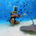 Private Tour: Aqua Safari Scuba Diving - Why Choose This Tour?