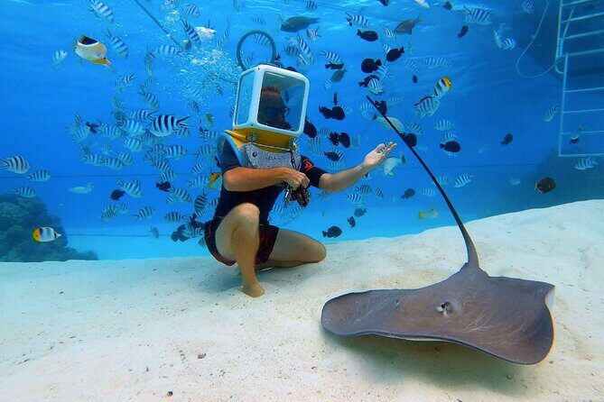 Private Tour: Aqua Safari Scuba Diving - Why Choose This Tour?