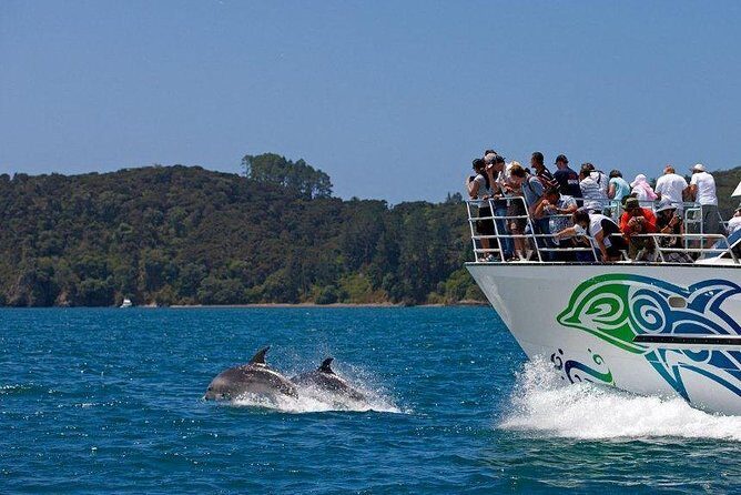 Private Tour: Bay of Islands Day Trip from Auckland - The Cost and What You’re Paying For