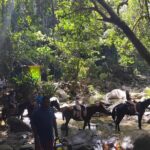Private Tour Biausevu Waterfall and Fijian Village Experience - What We Think About the Tour’s Value
