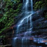 Private Tour Blue Mountains Day Adventure Wildlife + River Cruise - An In-Depth Look at the Blue Mountains Private Day Tour