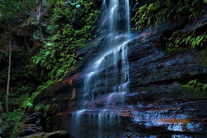 Private Tour Blue Mountains Day Adventure Wildlife + River Cruise - An In-Depth Look at the Blue Mountains Private Day Tour