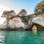 Private Tour - Coromandel Beach, Caves & Forest - Who Will Love This Tour?