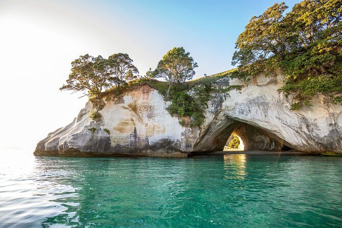 Private Tour - Coromandel Beach, Caves & Forest - Who Will Love This Tour?