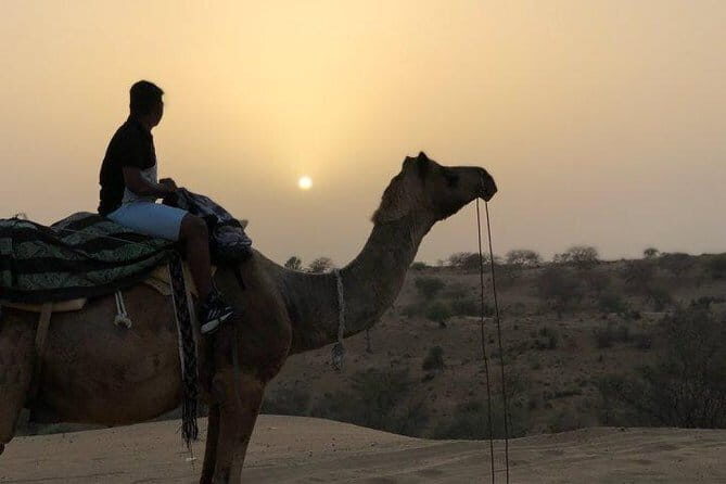 Private Tour :Desert Safari & Bishnoi Village SafarI - Temple Visits: Sachiya Mata & Jain Temples