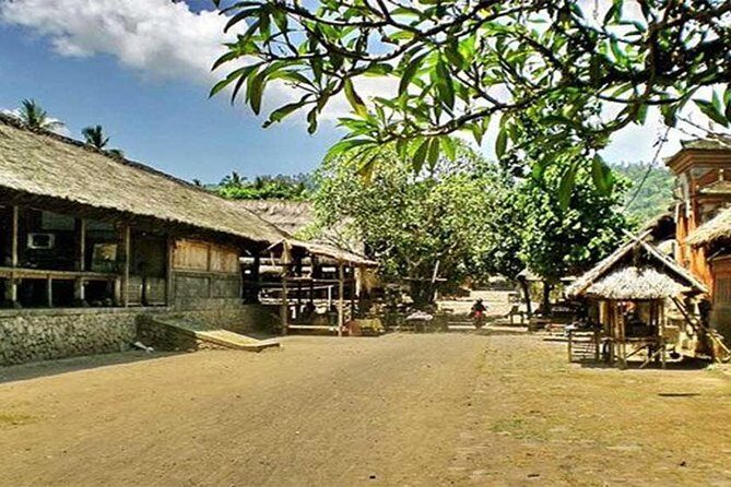 Private Tour: Heaven Gate Bali at Lempuyang Temple and East of Bali - The Practicalities: Comfort, Cost, and Convenience