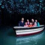 Private Tour: Hobbiton & Waitomo Glowworm Cave Experience - What Travelers Say