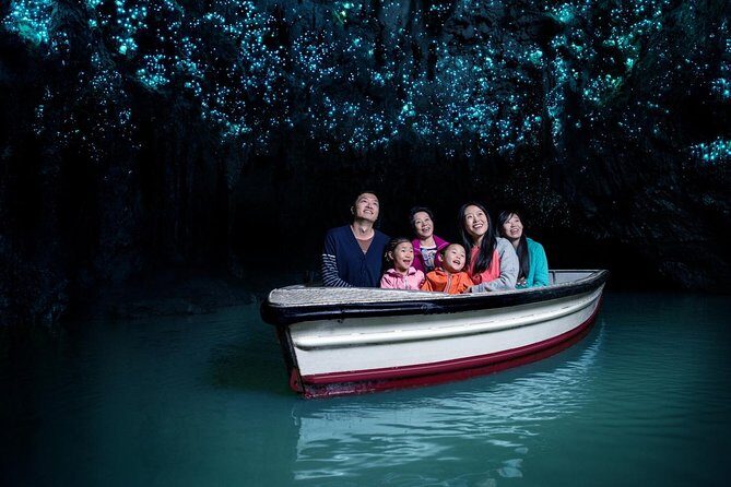 Private Tour: Hobbiton & Waitomo Glowworm Cave Experience - What Travelers Say