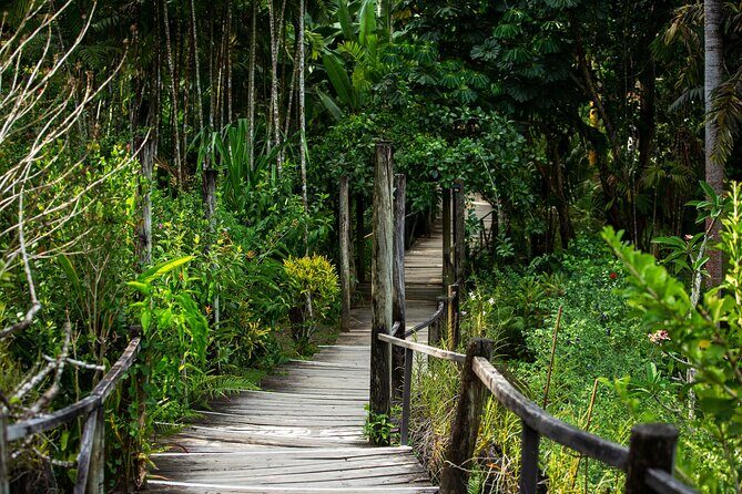 Private Tour: Hot spings & Sleeping Giant Garden hiking Adventure - Authentic Experiences and Honest Feedback
