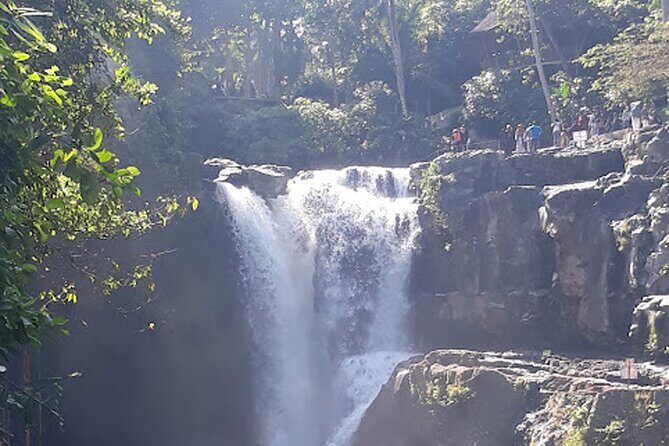 Private tour in Ubud country side - Practical Details & What to Expect