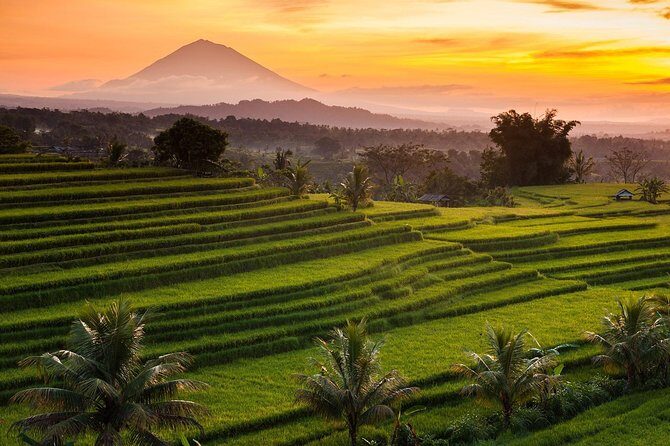 Private Tour: Jatiluwih Rice Terraces - Ulun Danu Temple - Bayumala Waterfalls - Who Should Consider This Tour?