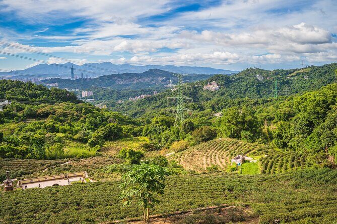Private Tour Maokong Tea & Shenkeng Stinky Tofu from Taipei - Who Should Consider This Tour?