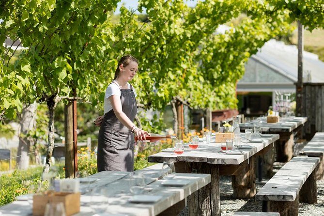 Private tour - Matakana Art & Wine Village - Practical Tips for Booking and Enjoying the Tour