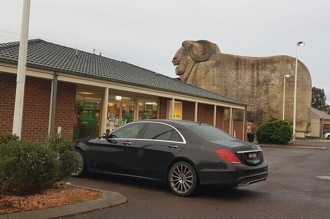 Private Tour Melbourne to Adelaide via Great Ocean Road - A Detailed Breakdown of the Itinerary